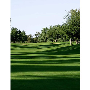 Monaco Bermuda Grass Seed (50 lbs.)