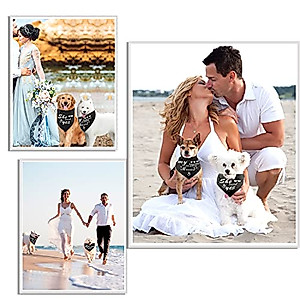 GOUWANGWANG Engagement Gift, My Humans are Getting Married Dog Bandana, Wedding Dog Bandana, Pet Scarf for Small, Medium, Large Dogs 2 Strip (White)