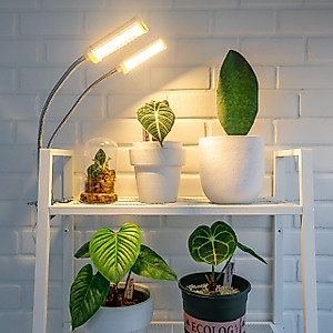 Brite Labs LED Grow Lights for Indoor Plants & Seedlings, Dual Head Plant Growing Lamps with 100 Full Spectrum Bulbs, Auto On Off Timer, Adjustable Gooseneck Arms, Desk Clip On, Dimmable Switch Modes