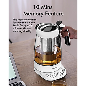 LONGDEEM Electric Glass Tea Kettle with Infuser, 1.7L Fast Boiling, Stainless Steel, Temperature Control Tea Maker, Non-BPA - Easy Lid Removal & Keep Warm Feature, White