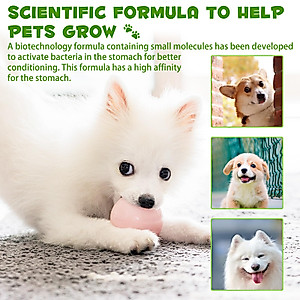 Probiotic for Dogs, Natural 3 in 1 Dog Probiotic Drops Helps Relieve Diarrhea, Supports Gut Health, Itchy Skin, Allergies, Immunity, Digestive Enzyme for Dog Supplement, Bacon Flavor - 60ml / 2 fl.oz