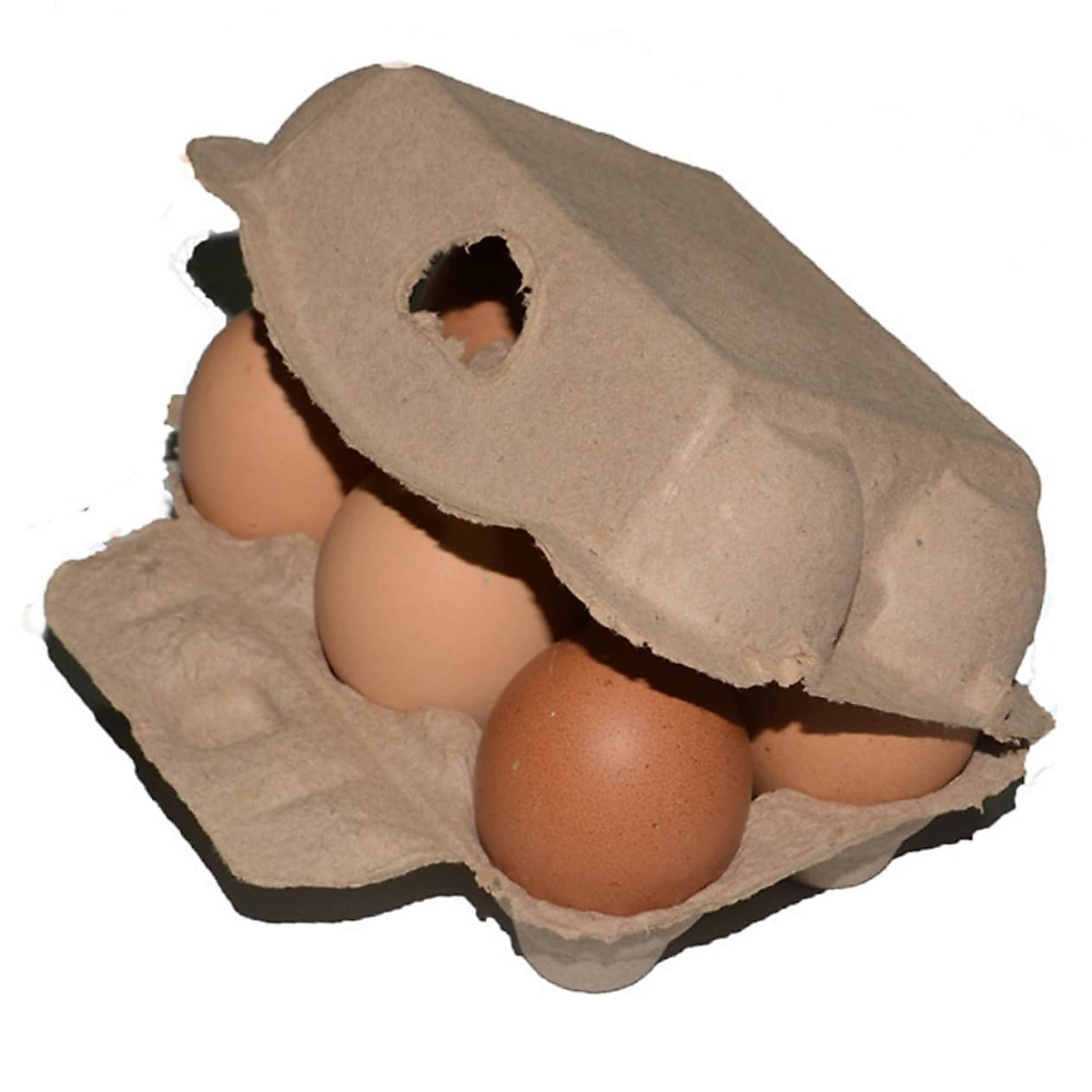 Egg Container 20pcs Box Egg Carton Eggs Pulp Packing Box Egg Tray