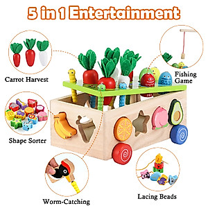BAYMI Toddler Wooden Educational Montessori Toys, Baby Gifts for 2 3 4 Year Old Girls & Boys, Fine Motor Skill Carrot Harvest & Shape Sorting Learning & Education Developmental Toys for Kids 2-4