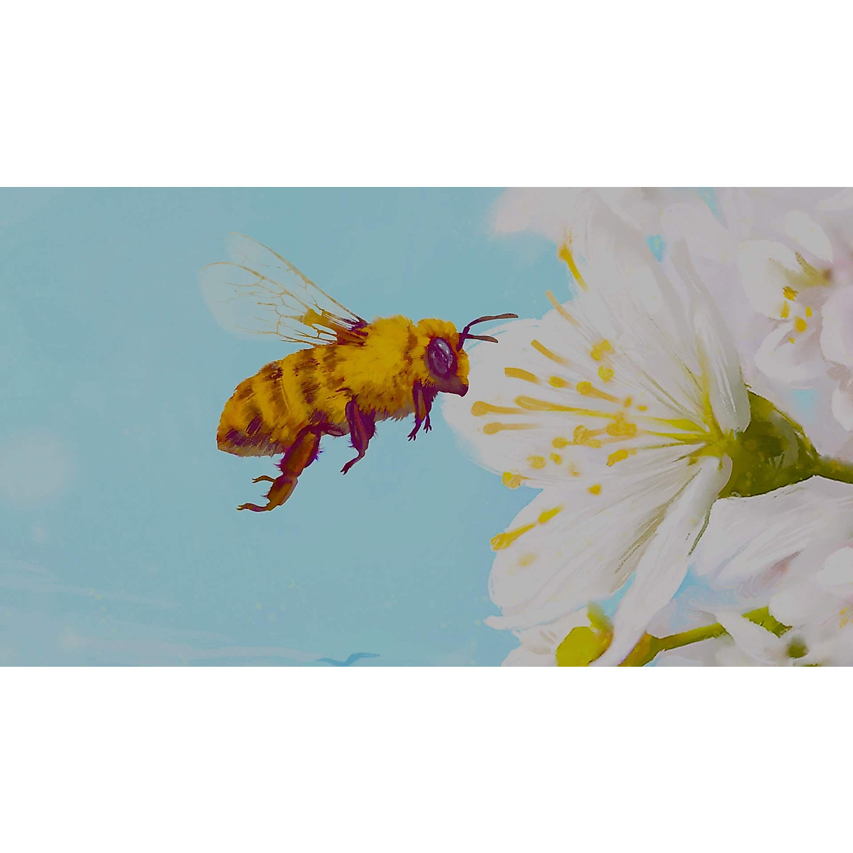 ミツバチ シミュレーター -Switch (【早期購入特典】はちさんストラップ 同梱) (Non-US Version)