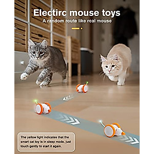 Hoofun Automatic Interactive Cat Toys for Indoor Cats: Pet Play Ball Kittens Electronic Rat Cats Toys with LED Lights Kitten Toys Mice Smart Toys, Cats Toys with Motion Wheel (Mouse)