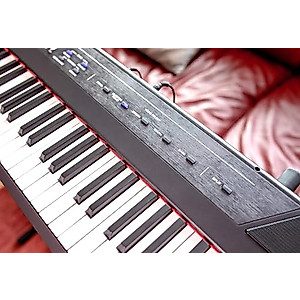 Alesis Recital – 88 Key Digital Piano Keyboard with Semi Weighted Keys, 2x20W Speakers, 5 Voices, Split, Layer and Lesson Mode, FX and Piano Lessons