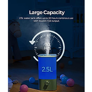 raydrop Cool Mist Humidifier Diffuser, 2.5L Essential Oil Diffuser, Top Fill Humidifier for Bedroom, Home and Office, Baby Humidifier with Adjustable Mist Output, Sleep Mode, Auto Shut Off