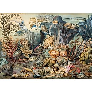 PETER PAUPER PRESS, Inc. Ocean Life 1000 Piece Jigsaw Puzzle