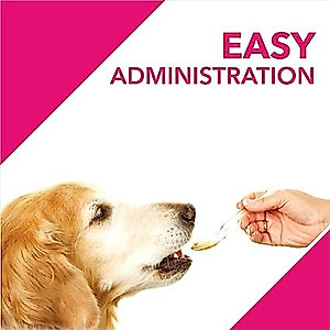 Absolute Skin + Coat Syrup- Dog Supplement, 300ml