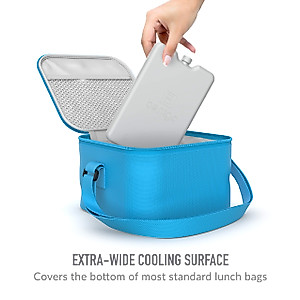 Bentgo Ice Lunch Chillers - Ultra-Thin Ice Packs Perfect for Everyday Use in Lunch Bags, Lunch Boxes and Coolers - 4 Pack (Gray)