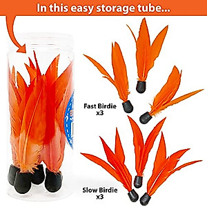 VIAHART Goodminton - The World's Easiest Racquet Game 6 Extra Birdies