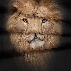 Bedorm Halloween Themed Bedding Sets Funny Pumpkin Comforter Set Cute Pumpkin Ghost Catoon Printed Boys Girls Halloween Bedroom Decor Queen Comforter Set