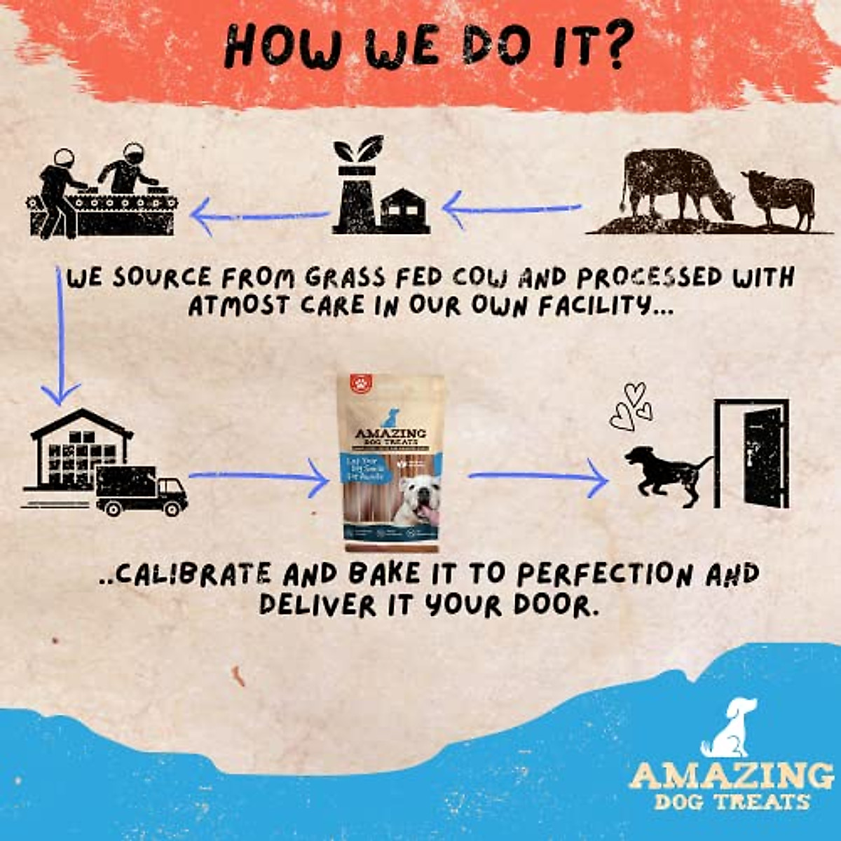 Bully Sticks 6 Inch Regular Size (25 Pcs/Pack) - Premium Bully Stick Dog Chews - Long Lasting Bully Sticks for Dogs - Best Bully Stick Dog Bone - No Hide Dog Chew