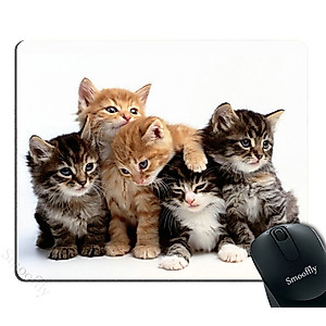 Smooffly Cats Mouse pad for Computers, Kittens Family Cats Mouse Pad