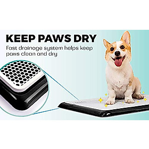 Pet Awesome Dog Potty Tray/Puppy Pee Pad Holder 25”x20” Indoor Wee Training for Small and Medium Dogs