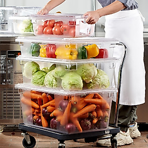 CURTA 4 Pack Food Storage Box with Lid, 5 Gallon - 18" x 12" x 9" NSF Listed Commercial Grade Clear Polycarbonate Container for Commercial Kitchen Restaurant Cafeteria