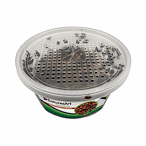 NaturesArt 1500 Live Ladybugs - Good Bugs for Garden - Ladybug Guaranteed Live Delivery* - Plastic Box, Container, Case.