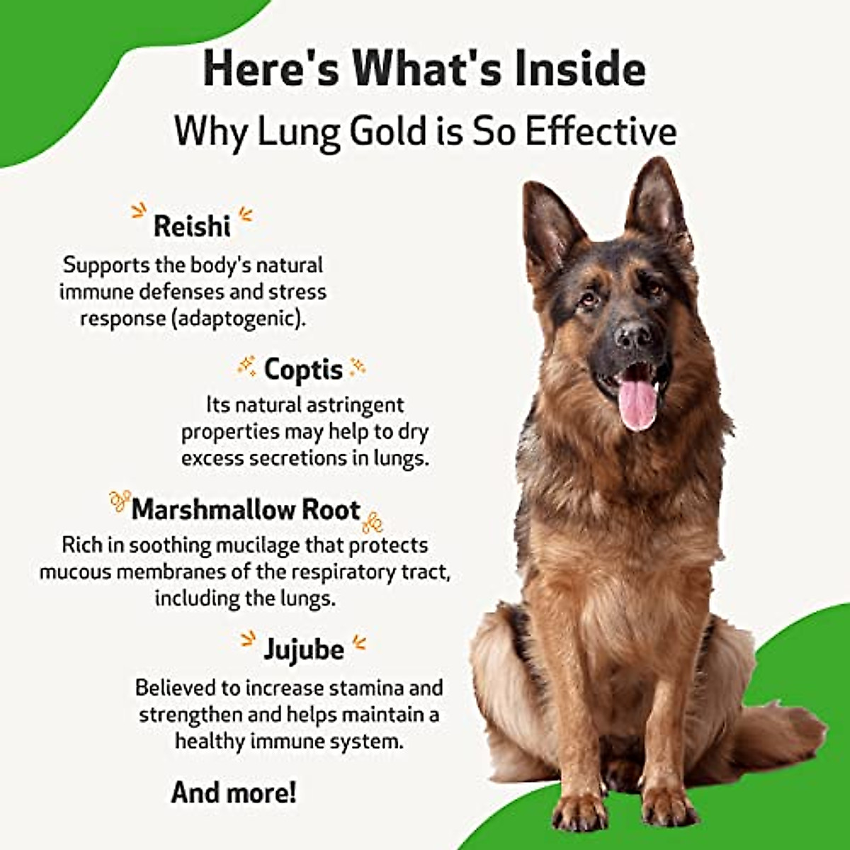 Pet Wellbeing Lung Gold for Dogs - Vet-Formulated - Lung & Respiratory Immune Support, Open Airways, Easy Breathing - Natural Herbal Supplement 2 oz (59 ml)