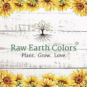 Sunflower Seeds for Planting to Plant Mammoth Sunflower Seeds Packet of About 100 Flower Seeds (Asteraceae Asterales Helianthus giganteus) !