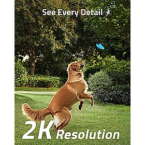 eufy security S230 SoloCam S40, Solar-Powered, Wireless Outdoor Security Camera, Battery Camera, 2K Resolution, No Monthly Fee (Renewed)