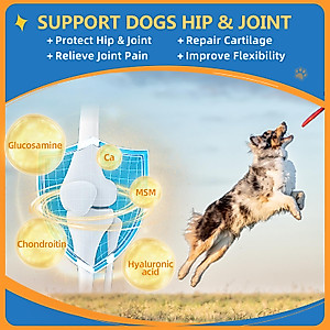Probiotics for Dogs Digestive Health with Dog Multivitamin Powder