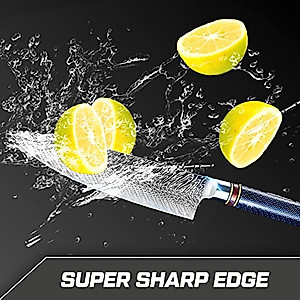 WeKit Chef Knife 8 Inch, Damascus Chef Knife Japanese VG10 Kitchen Knife Sharpest 67-Layer High Carbon Stainless Steel knife, Pro Cooking Knife, Meat Cutting Gyuto Chef Knife with Sheath