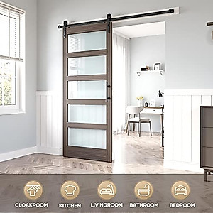 ROYMELO 36x84 Inch Glass Sliding Barn Door Slab and 6.6ft Hardware Kit Included, 5 Frosted Glass, LVL Wood Panel Covered with Elephant Gray Water-Proof Scratch-Proof PVC Surface, Simple DIY Assembly
