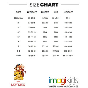 Disney Lion King Simba Pumbaa Nala Infant Baby Boys 4 Pack Graphic T-Shirts Lion King 18 Months