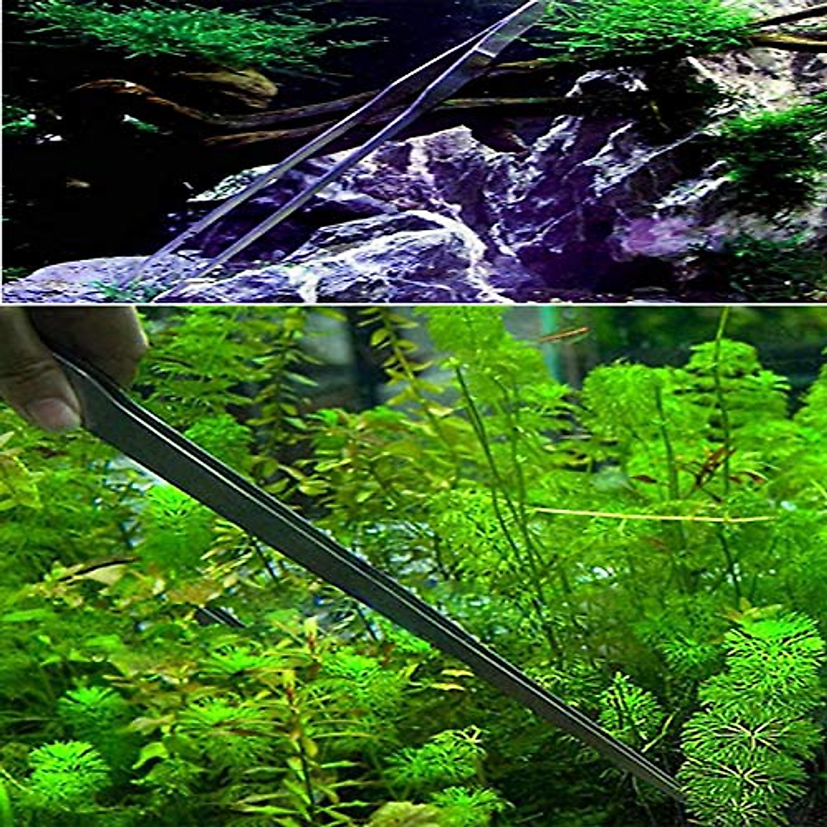 15 inch Aquarium Forceps ，Stainless Steel Curved Tweezers, with Anti-Carbonization and Carbonization Coating, Anti-Rust and Long Reptiles, for Aquatic Plants, Spiders, Snakes and Lizards, Black