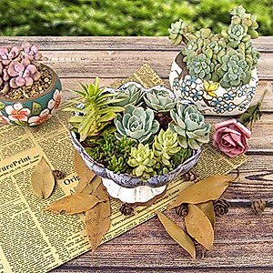 Summer Impressions 6 Inch Glazed Terracotta Succulent Planter with Drainage Hole Clear Plant Saucer Cactus Planter Pot Bonsai Pot Clay Pot Flower Pot (Lotus Blue with Saucer)