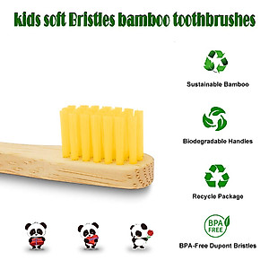 Virgin Forest Kids Bamboo Toothbrushes, Child Size Soft BPA Free Colored Safe Bristles (4 Pack)
