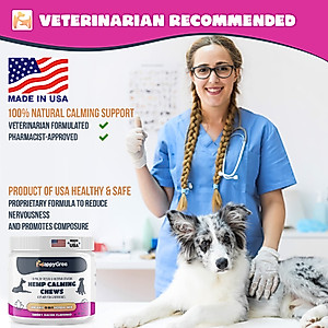 Best Natural Health Supplements for Dogs, Various Formulas & Benefits - Vet Recommended, 170 Natural Soft Chews - Smoky Bacon Flavor, Made in The USA (Hemp Calming)