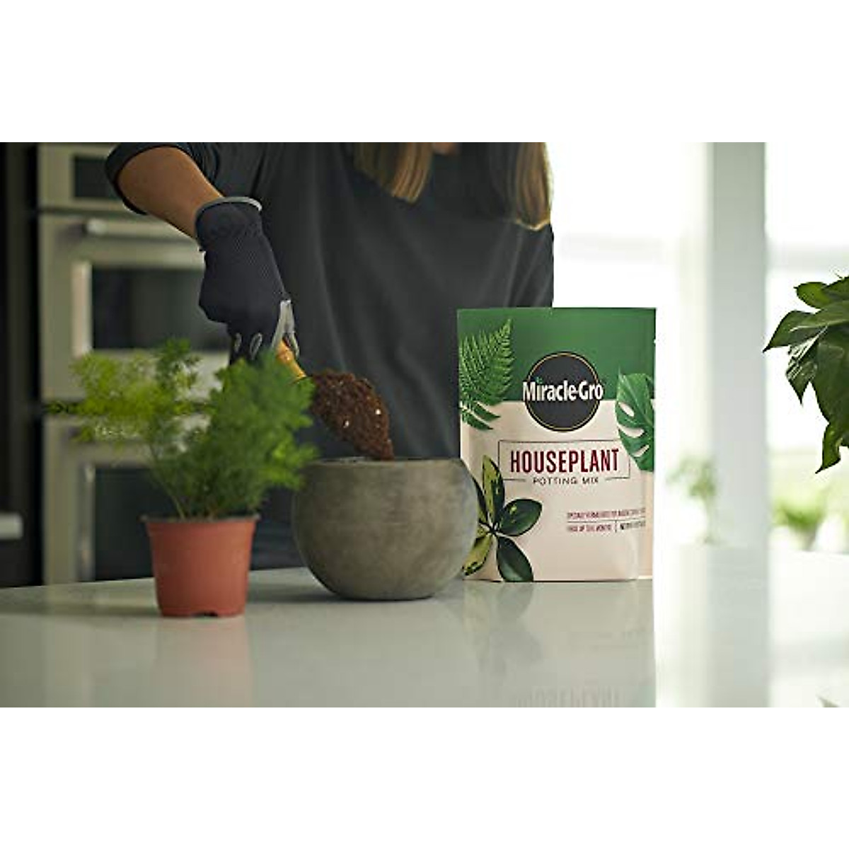 Miracle-Gro Houseplant Potting Mix: Fertilized, Perlite Soil for Indoor Gardening, Designed to Be Less Prone to Gnats, 4 qt.