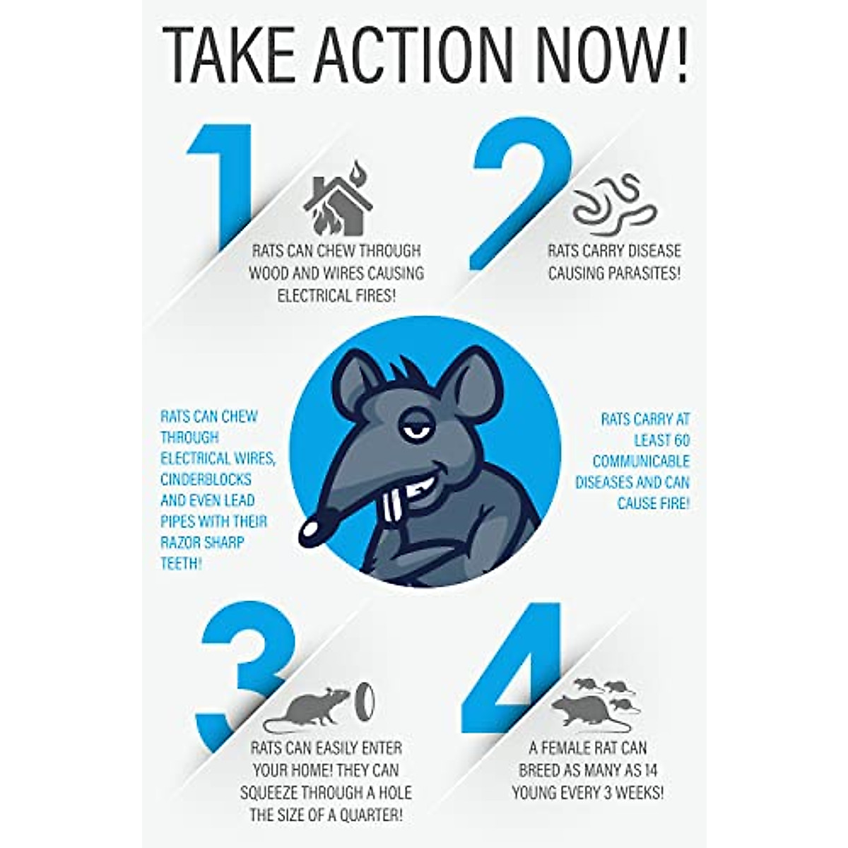 Rat Traps That Work (6 Pack) - Easy to Bait and Set, Rat Traps Indoor for Home, Large Rat Trap Outdoor - Trampas para Ratones/Trampas para Ratas - Forget Electric Traps, Choose Snap Traps for Rats