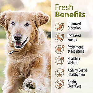 JustFoodForDogs Pantry Fresh Wet Dog Food Variety Pack, Complete Meal or Dog Food Topper, Beef, Chicken, & Turkey Recipes - 12.5 oz (Pack of 6)