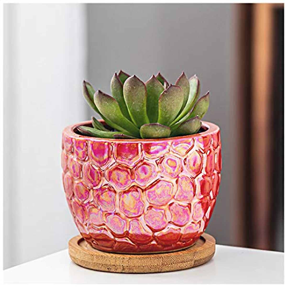 Segreto Succulent Plant Pots Marbling Pattern Flower Pots Ceramic Planter for Cactus Plants Container Bonsai Pots with Bamboo Tray and Drainage Hole for Home Decor,Set of 2
