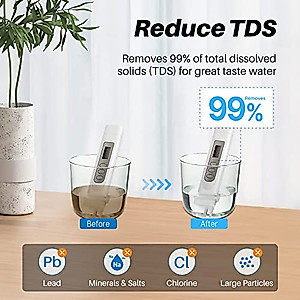 PUREPLUS NSF53 Lead Removal ZR-017 Water Filter, Replacement Cartridges for ZR-001, ZR-003, ZR-004, ZR-006, ZR-008, ZR-600, ZR-012, 5-Stage Filtration, 3PACK