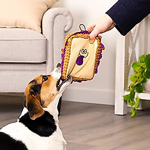 TrustyPup Tough 'N Fun PBJ Squeaky Plush Dog Toy, Chew Guard Technology - Tan, Medium (71151)