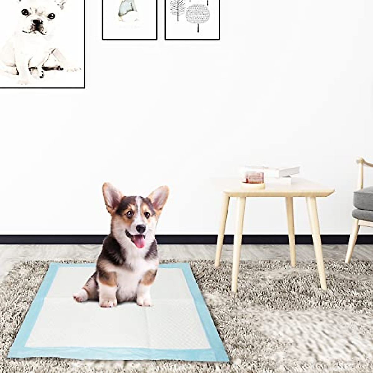 kathson 22" x 22" Puppy Pee Pads Rabbit Disposable Potty Training Pad 40PCS Super Absorbent & Leak-Free Doggy Pet Supplies for Bunny Kitten Small Dog Guinea Pig