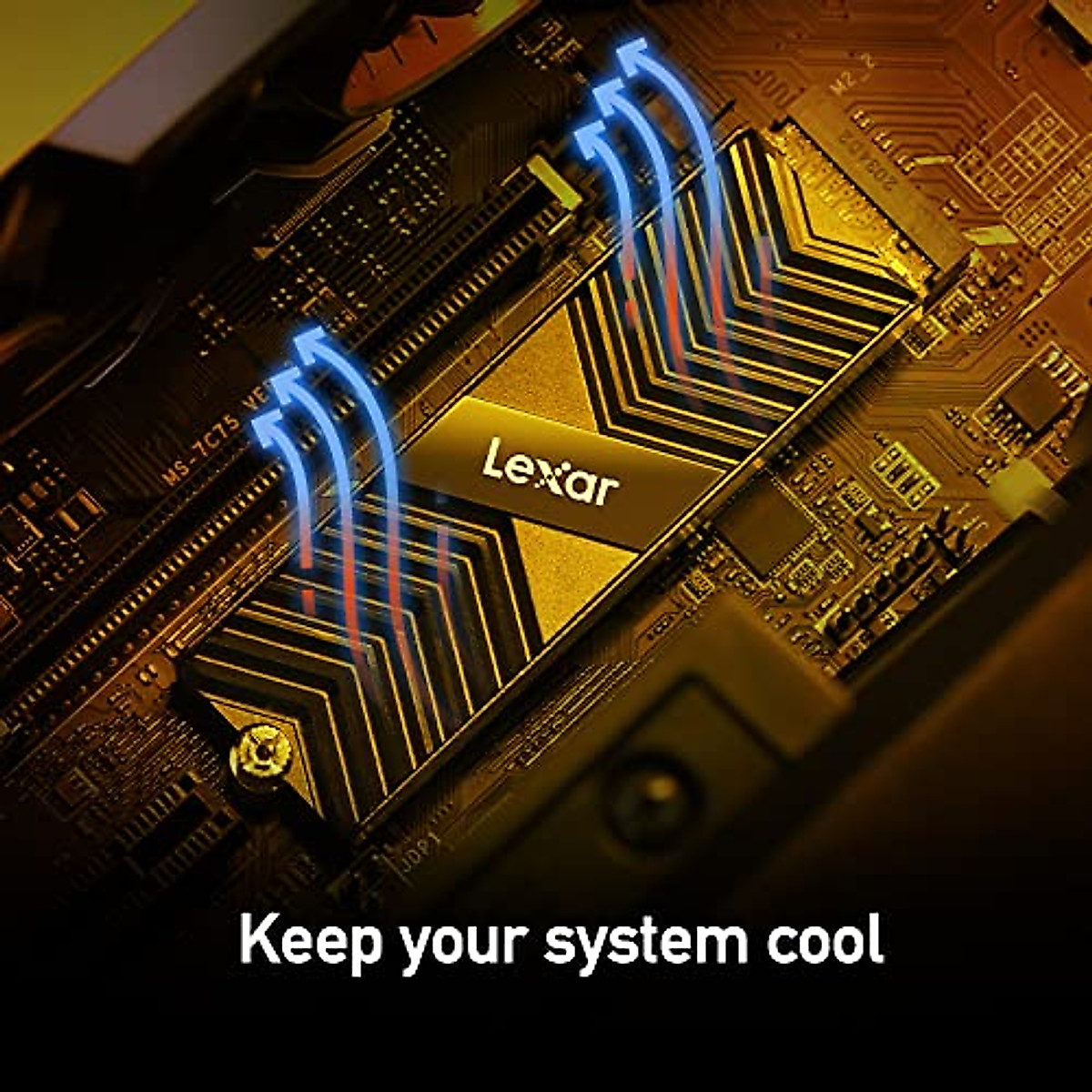 Lexar Professional 2TB NM800 PRO with Heatsink M.2 2280 PCIe Gen4x4 NVMe SSD, Read Speeds Up to 7500MB/s, for Gamers and Creators (LNM800P002T-RN8NG) Solid State Drive