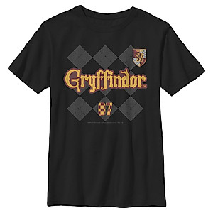 Harry Potter Men's Gryffindor Pride Short Sleeve Tee Shirt, Black, Large