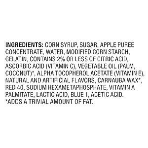 Funables Fruit Snacks, Mixed Berry Fruit Flavored Snacks, 0.8 ounce Pouches (Pack of 40)