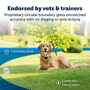 PetSafe Stay & Play Wireless Pet Fence & Replaceable Battery, America's Safest Wireless Fence Dog Collar