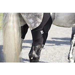 Ice Horse Pair of Stifle Wraps for Equine Therapy - Comes with 4 Ice Packs