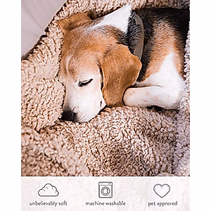 Premium Pom Pom Throw Blanket - Tan Throw Blanket, Plush Blanket, Soft Throw Blanket, Super Soft Blanket | Fall Throw Blanket for Couch, Fleece Blanket, Fleece Throw Blanket, 60” X 49.5”