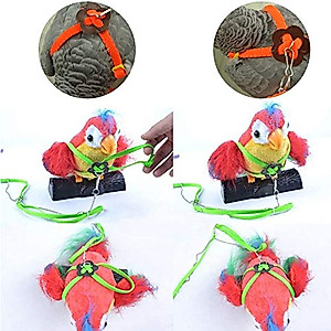 Lizard Leash Bearded Dragon Harness Adjustable Reptile Lizard Harness Leash Parrot Harness Turtle Lizard, Suitable for Gecko Hamster Kitten Small Animal Outdoor Walking - Black