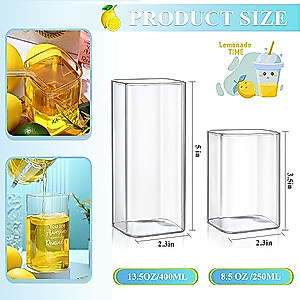Roshtia 12 Pcs Square Glass Cups with Straws Highball Drinking Glasses Clear Rocks Glasses for Tea Wine Beer Cocktails Juice Coffee Mixed Drinks Party Glassware Set, 8.5oz and 13.5oz (Minimalist)
