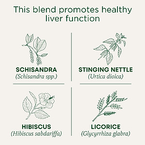 Traditional Medicinals Tea, Organic EveryDay Detox Schisandra Berry, Supports Healthy Liver Function, Detox, 96 Tea Bags (6 Pack)