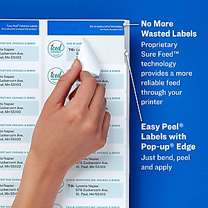 Avery Easy Peel Return Address Labels for Inkjet Printers 1/2" x 1-3/4", Pack of 2,000 (8167)