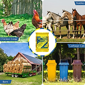 Qualirey 15 Pack Fly Trap Bait Refills, Non Toxic Fly Trap Attractant for Reusable Outdoor Hanging Fly Trap Bottles, 30g Natural Fly Trap Bait Attractant Refills for Outside Fly Killer Bottles